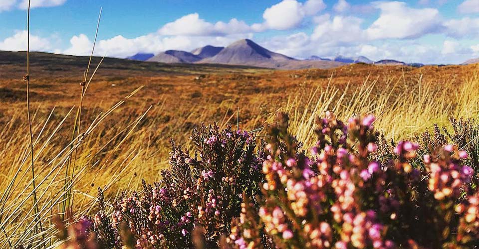 TOP 10 THINGS TO DO IN SLEAT - Sabhal Mòr Ostaig